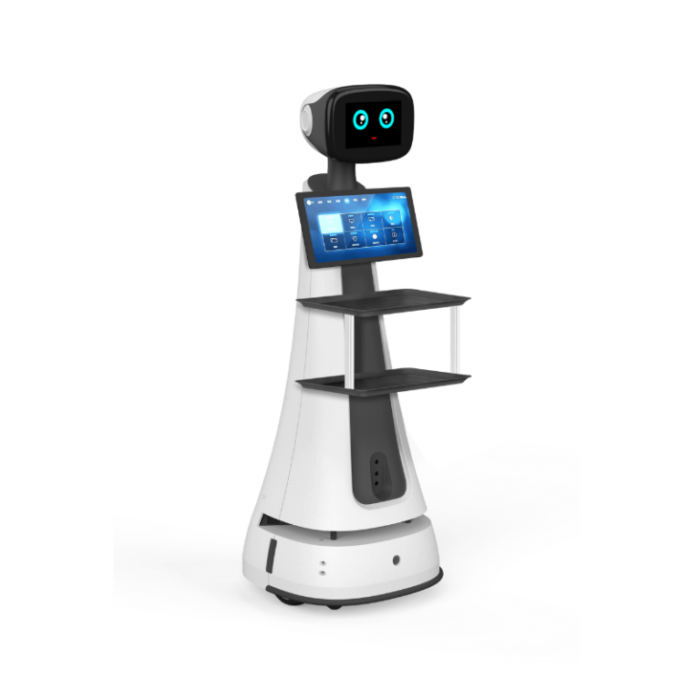 Products - Welcome/Guide AI Powered Robot